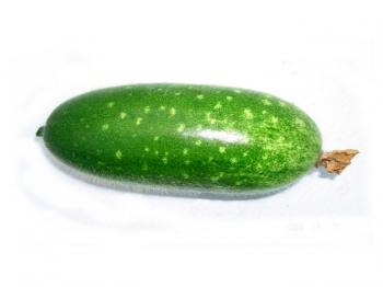 Hairy Melon - Healthy & Fresh New Zealand
