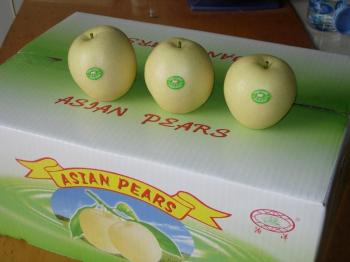 Crown Pear - Healthy & Fresh New Zealand