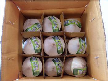 Drinking Coconut - Healthy & Fresh New Zealand